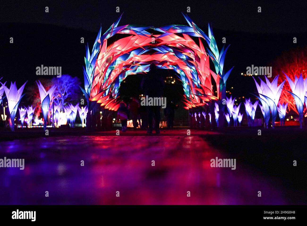 At the three counties showground in malvern hi-res stock photography ...