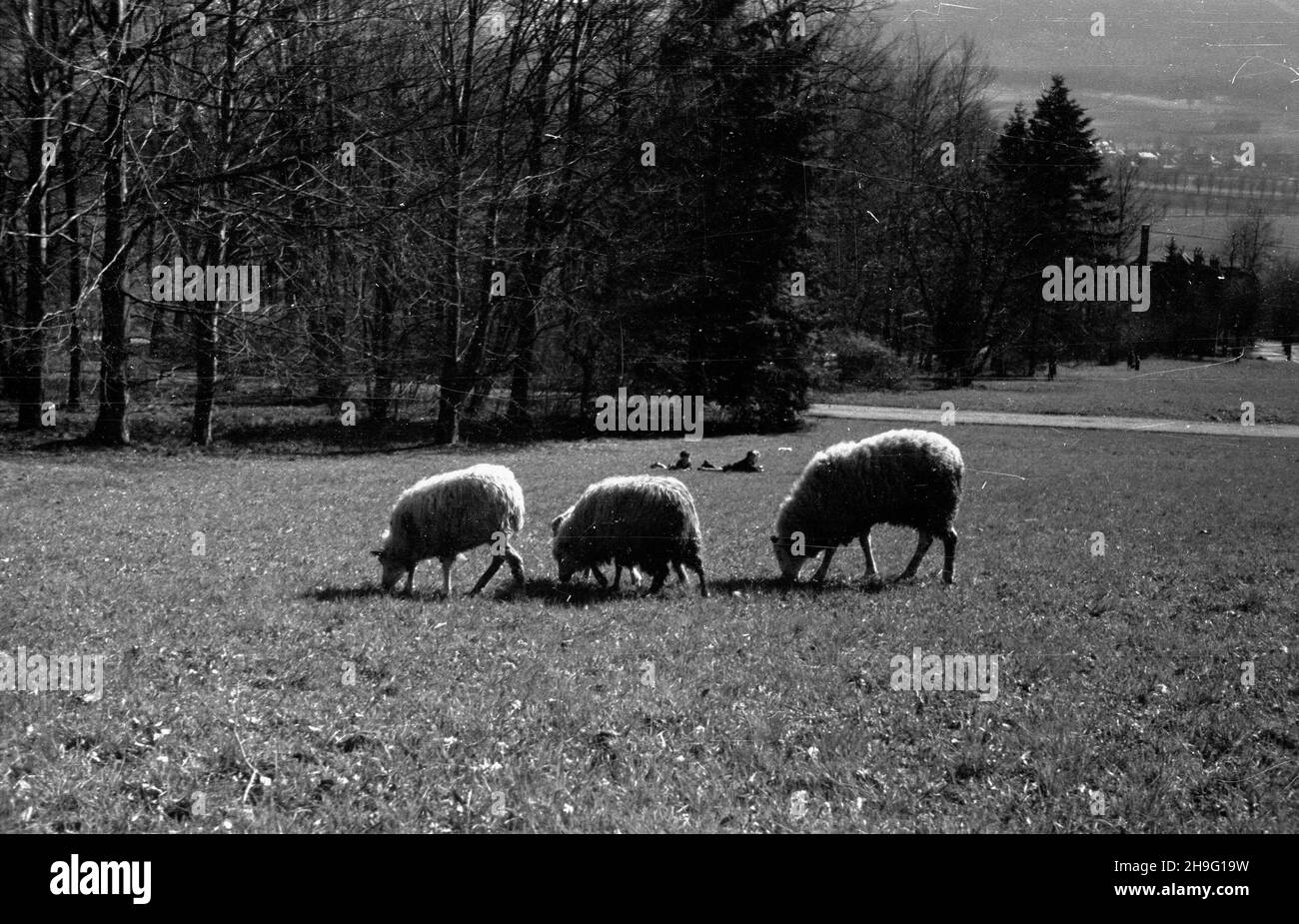 Kowary Black and White Stock Photos & Images - Alamy