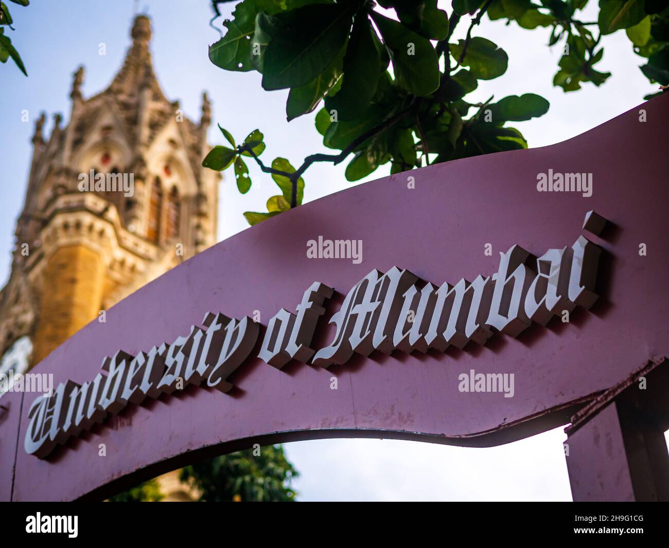 University Of Mumbai Logo Mumbai University Scandal: Fake Appointments