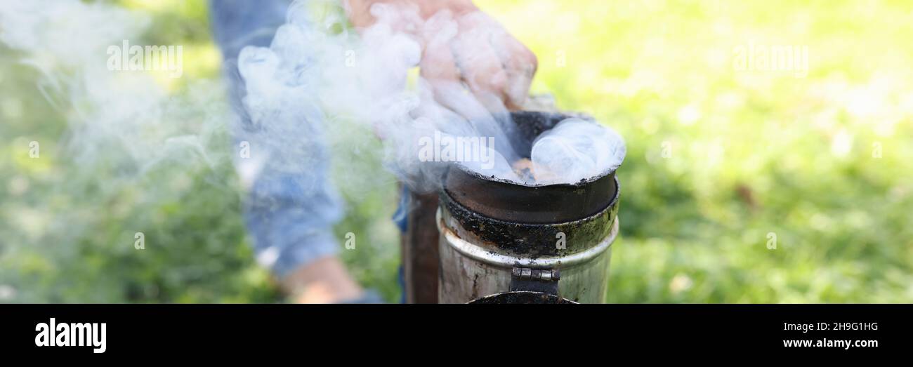 Beekeeper smoking honey bees with bee smoker on apiary closeup Stock ...