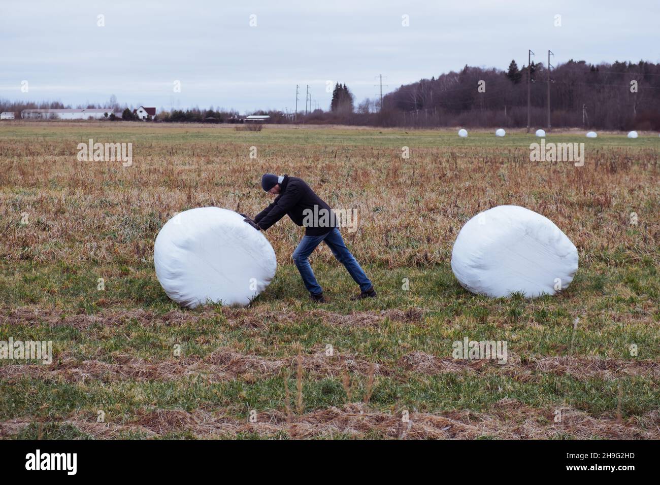 Farmer and haystacks packed for winter. High quality photo Stock Photo ...
