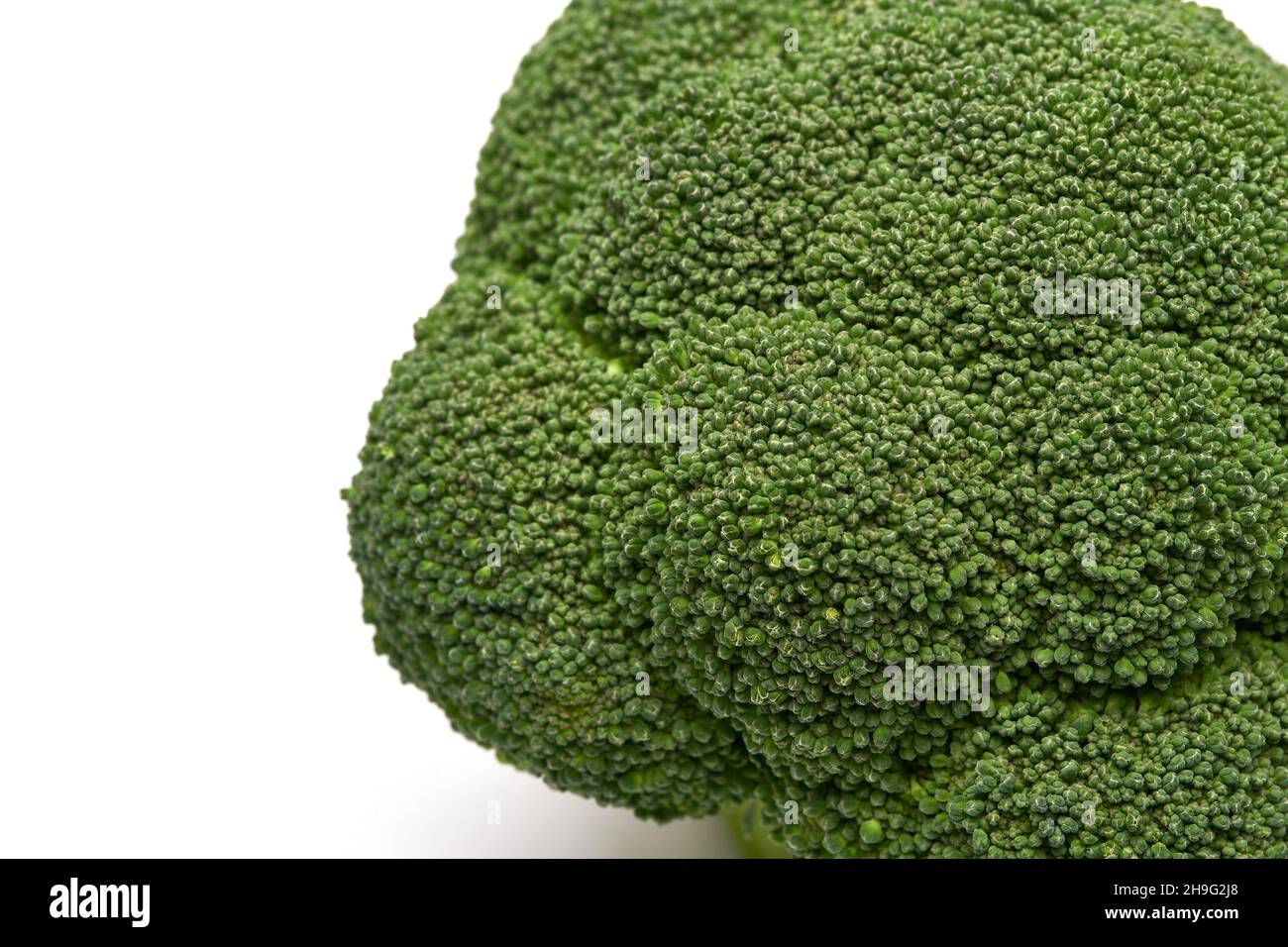Fresh natural organic broccoli isolated on white background Stock Photo ...