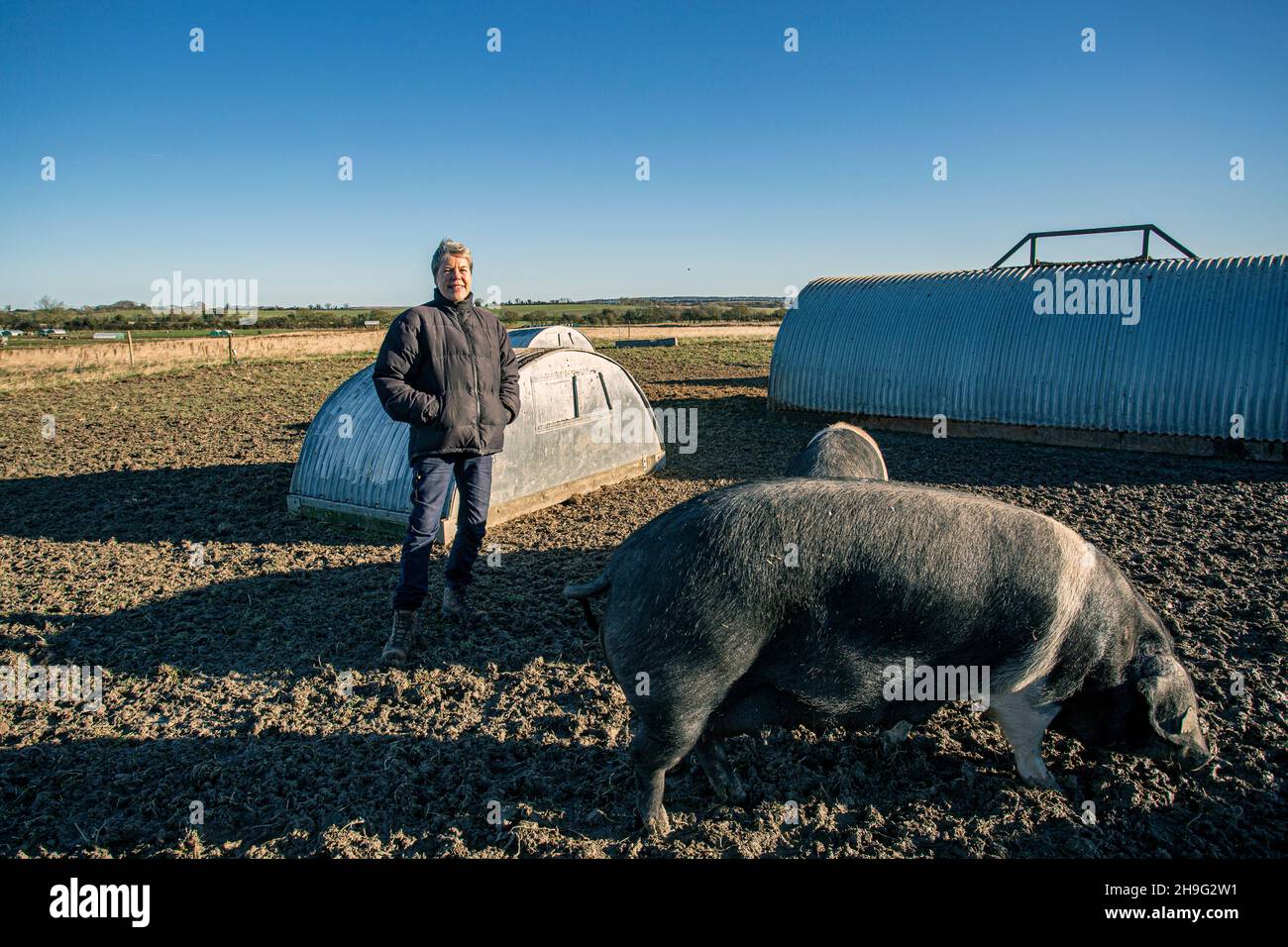 HELEN BROWNING Chief Executive of the Soil Association and organic pig ...