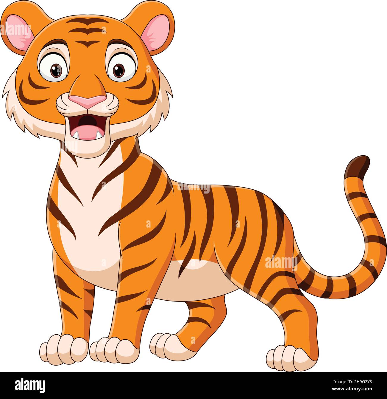 Cartoon tiger roaring on white background Stock Vector Image & Art - Alamy
