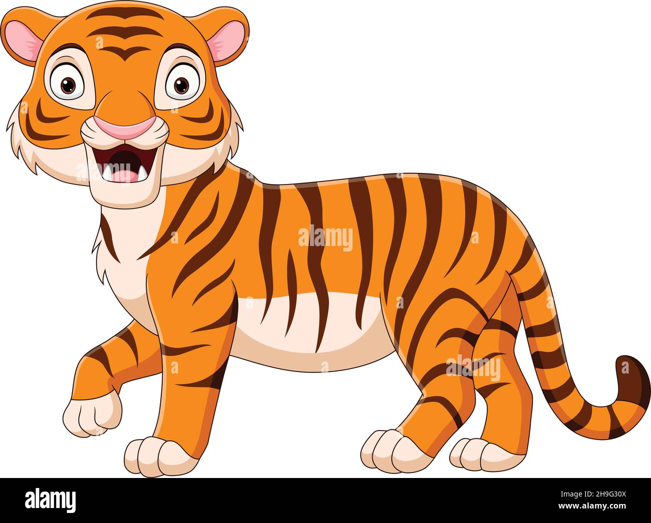 Cartoon tiger roaring on white background Stock Vector Image & Art - Alamy