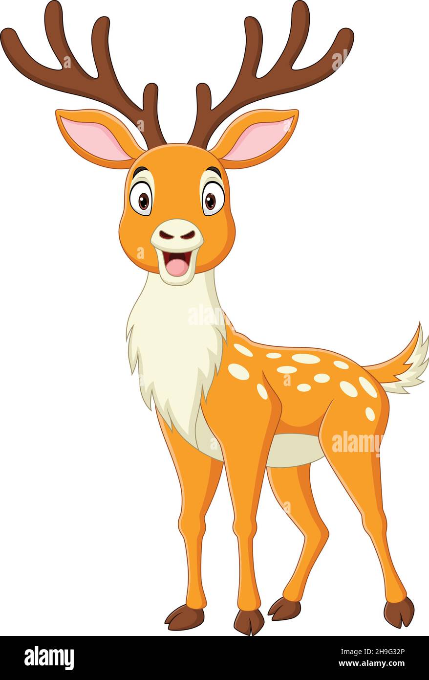 Cartoon deer isolated on white background Stock Vector Image & Art - Alamy