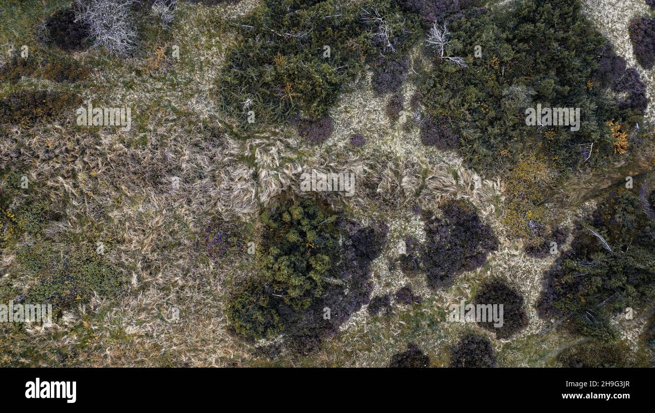 Bird's eye view of trees and small bushes on the hill Stock Photo - Alamy