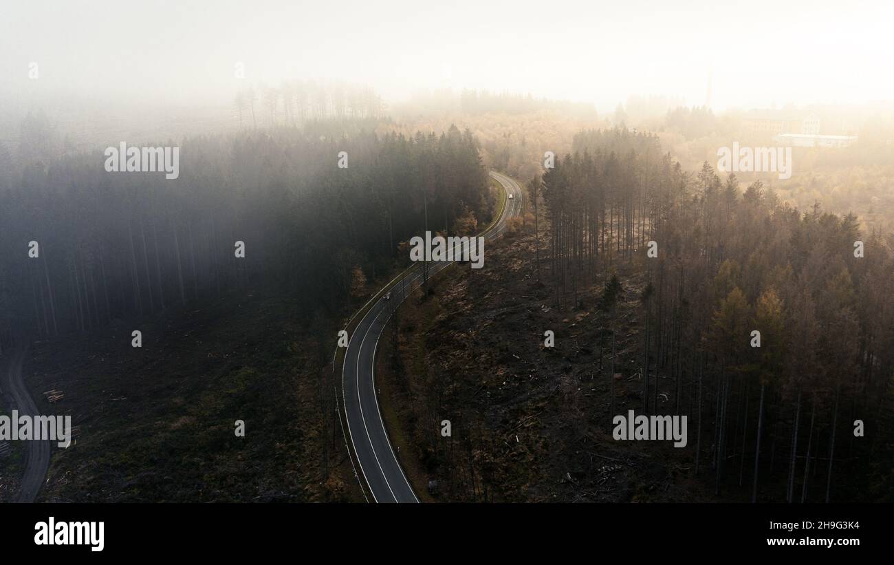 Bird's eye view of a road among the forest with beautiful autumn colors ...