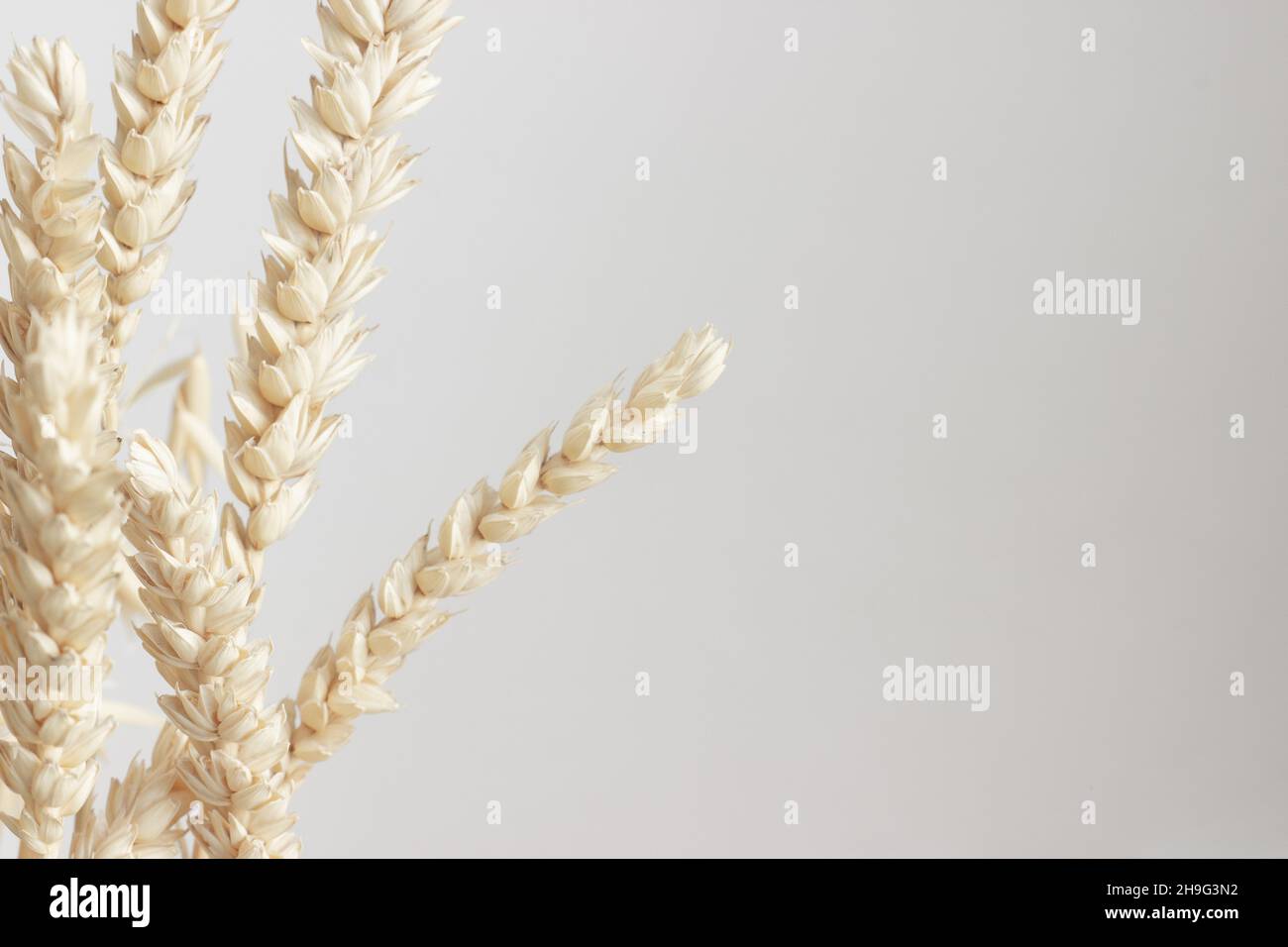 Minimal decoration hi-res stock photography and images - Alamy