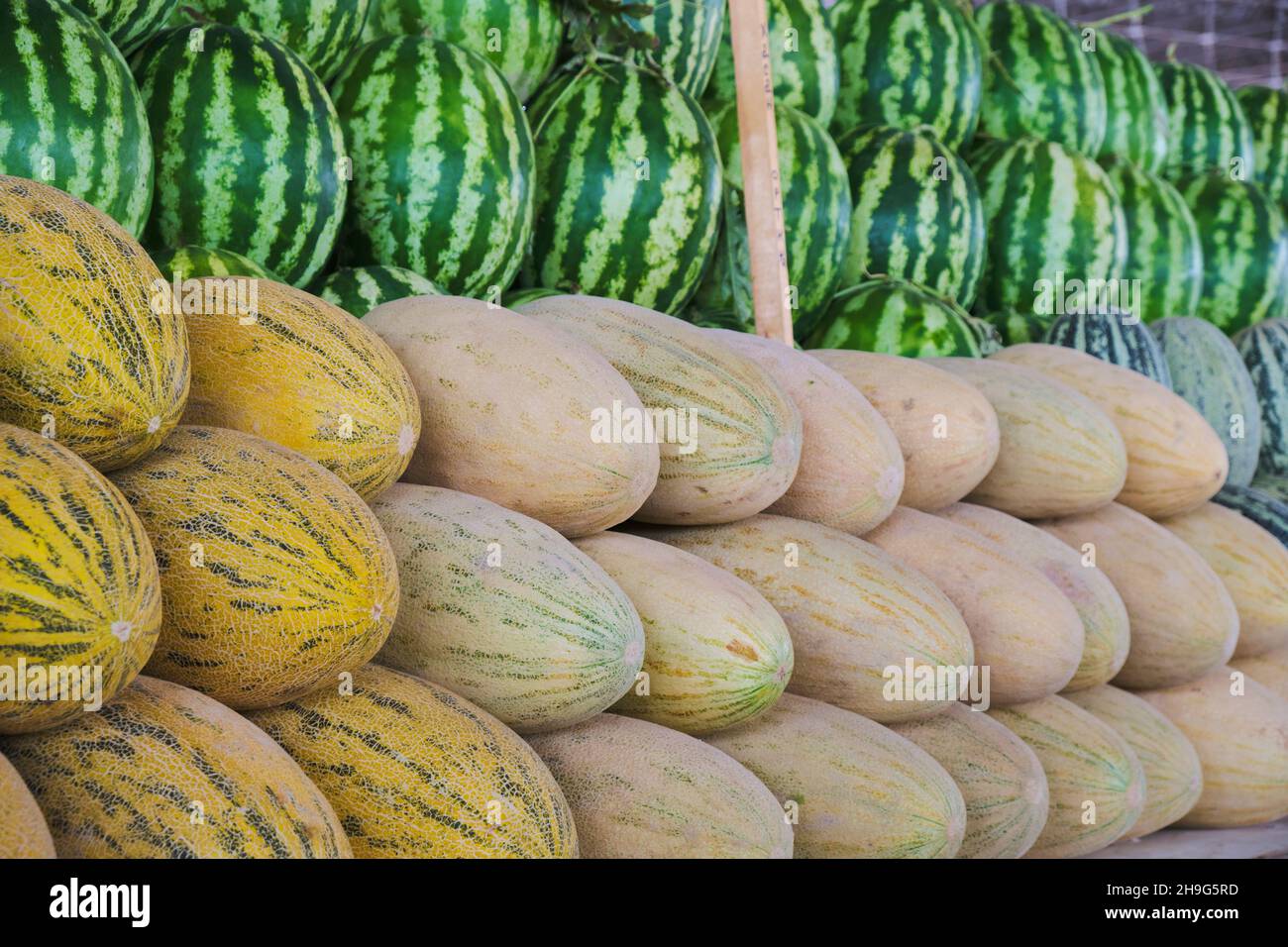 A close up of stacked watermelons and torpedo melons for sale. At ...