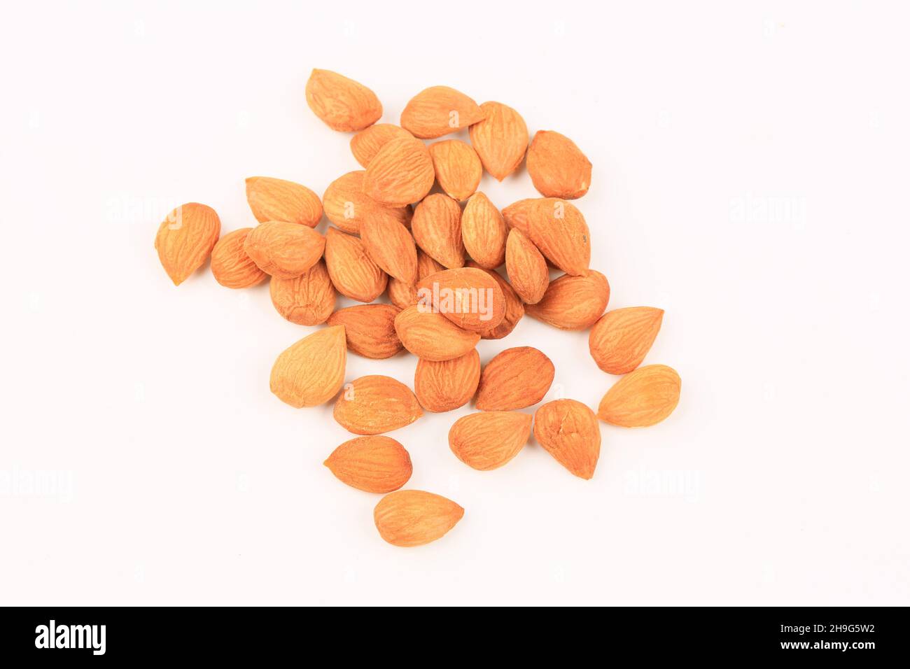 apricot kernel isolated on white background Stock Photo - Alamy