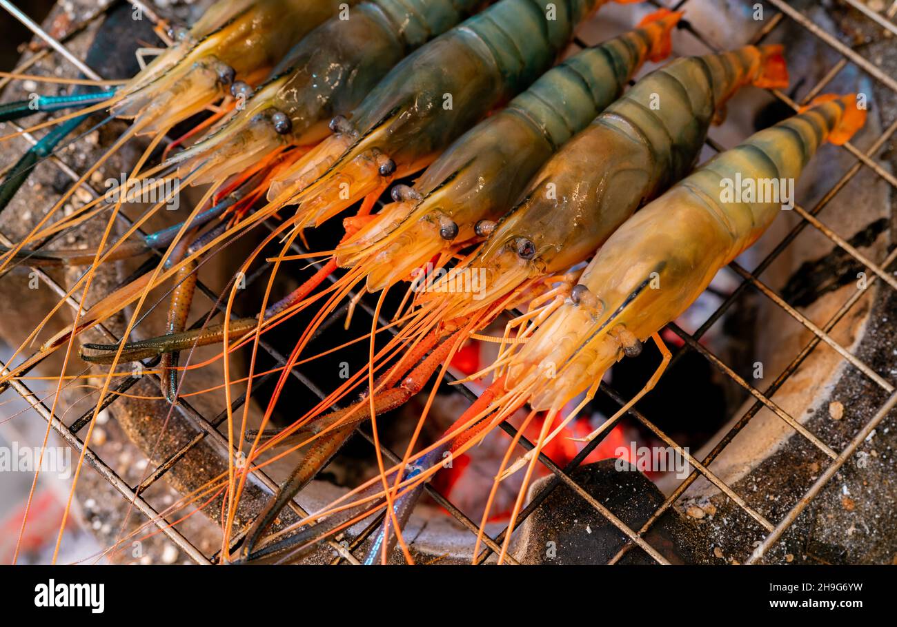 Grilled prawn on charcoal grill. Giant freshwater prawns grill on a ...