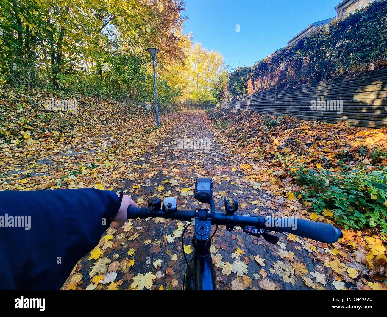 First-Person from a bicycle shot of a road covered in leaves in a park ...