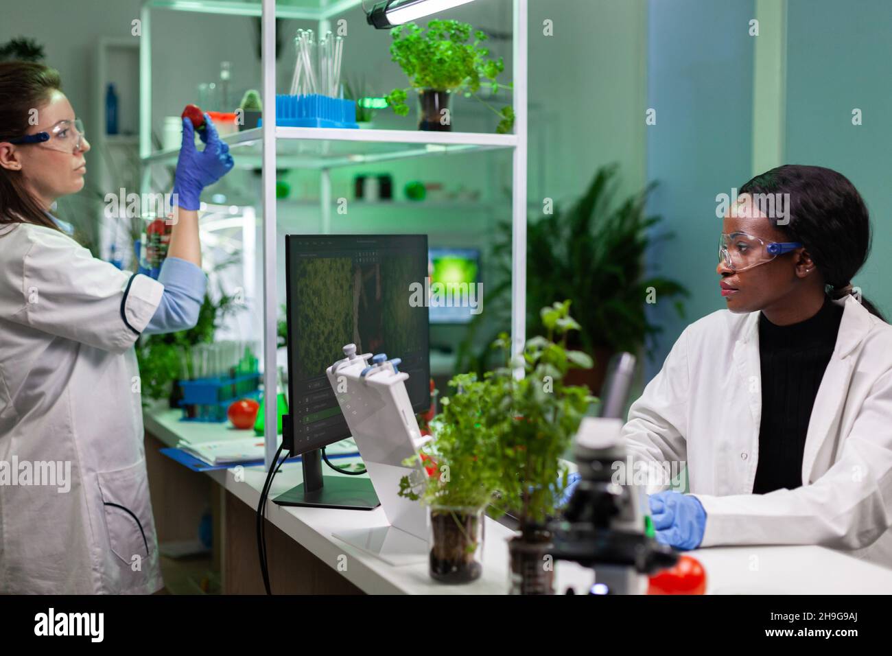 African american biologist researcher typing microbiology expertise on ...