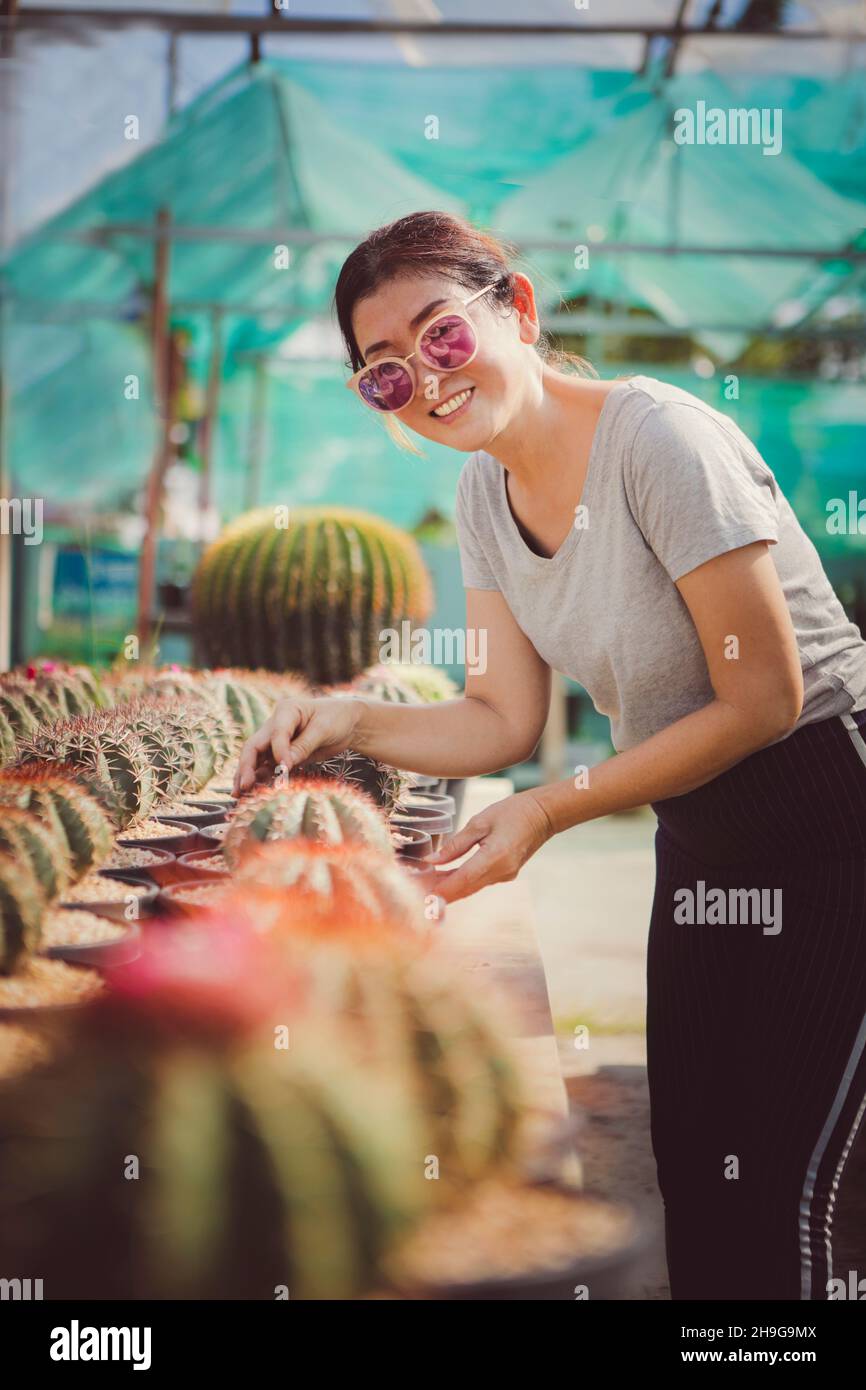 beatiful woman taking care of cacttus in succulent green house Stock ...