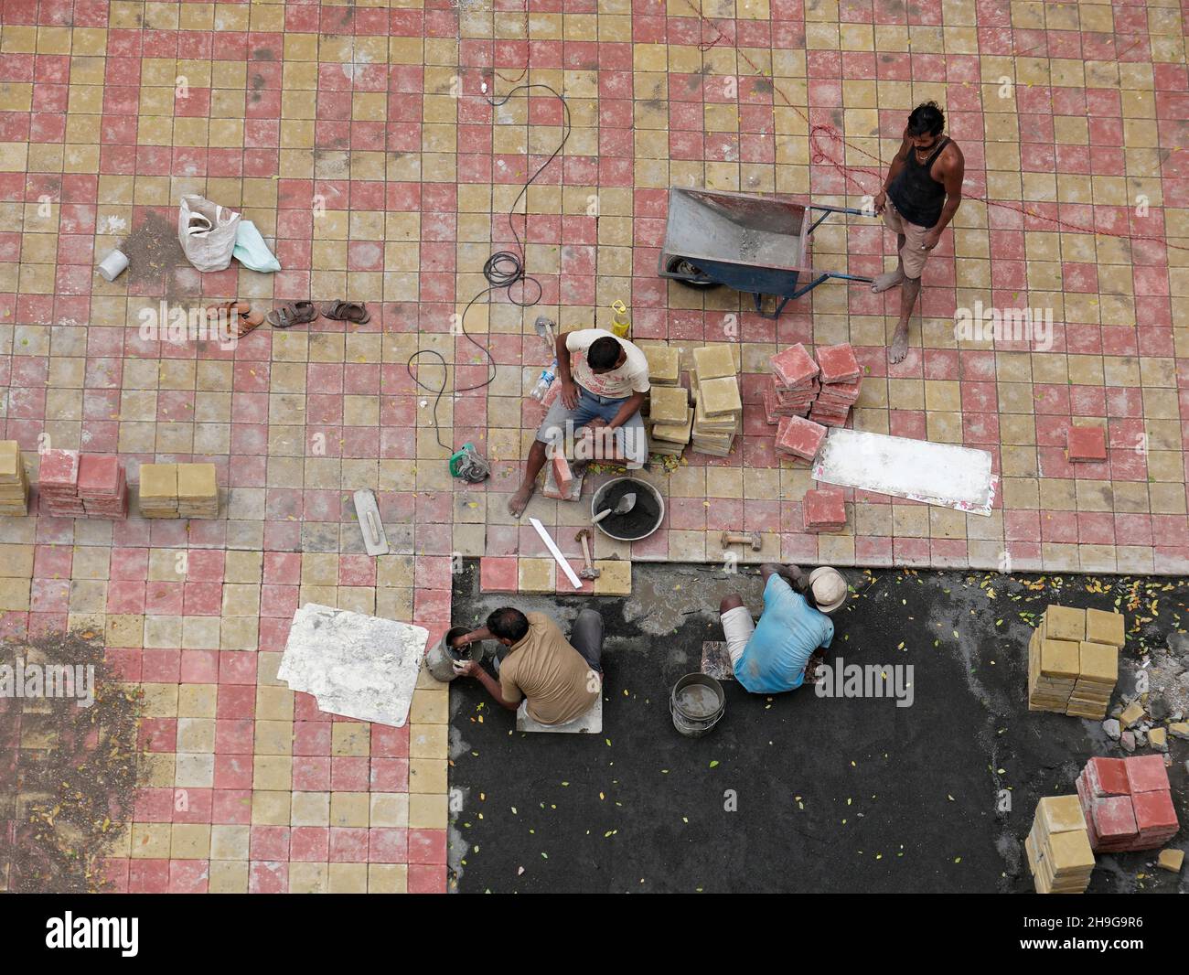 Laying paving slabs on compound The master paves the paving slab ...