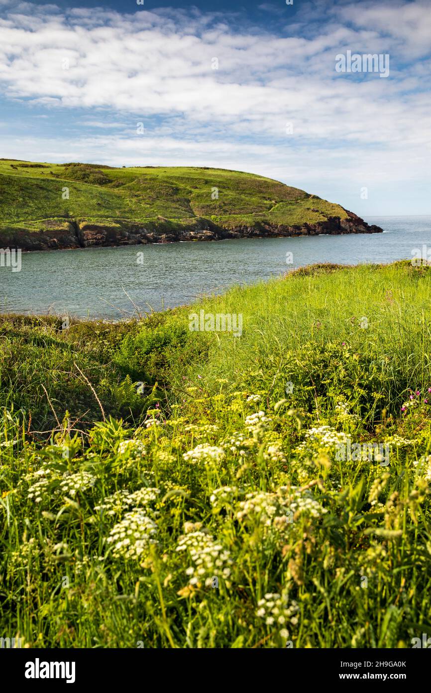 UK, Wales, Pembrokeshire, Manorbier Bay and Priest's Nose headland ...