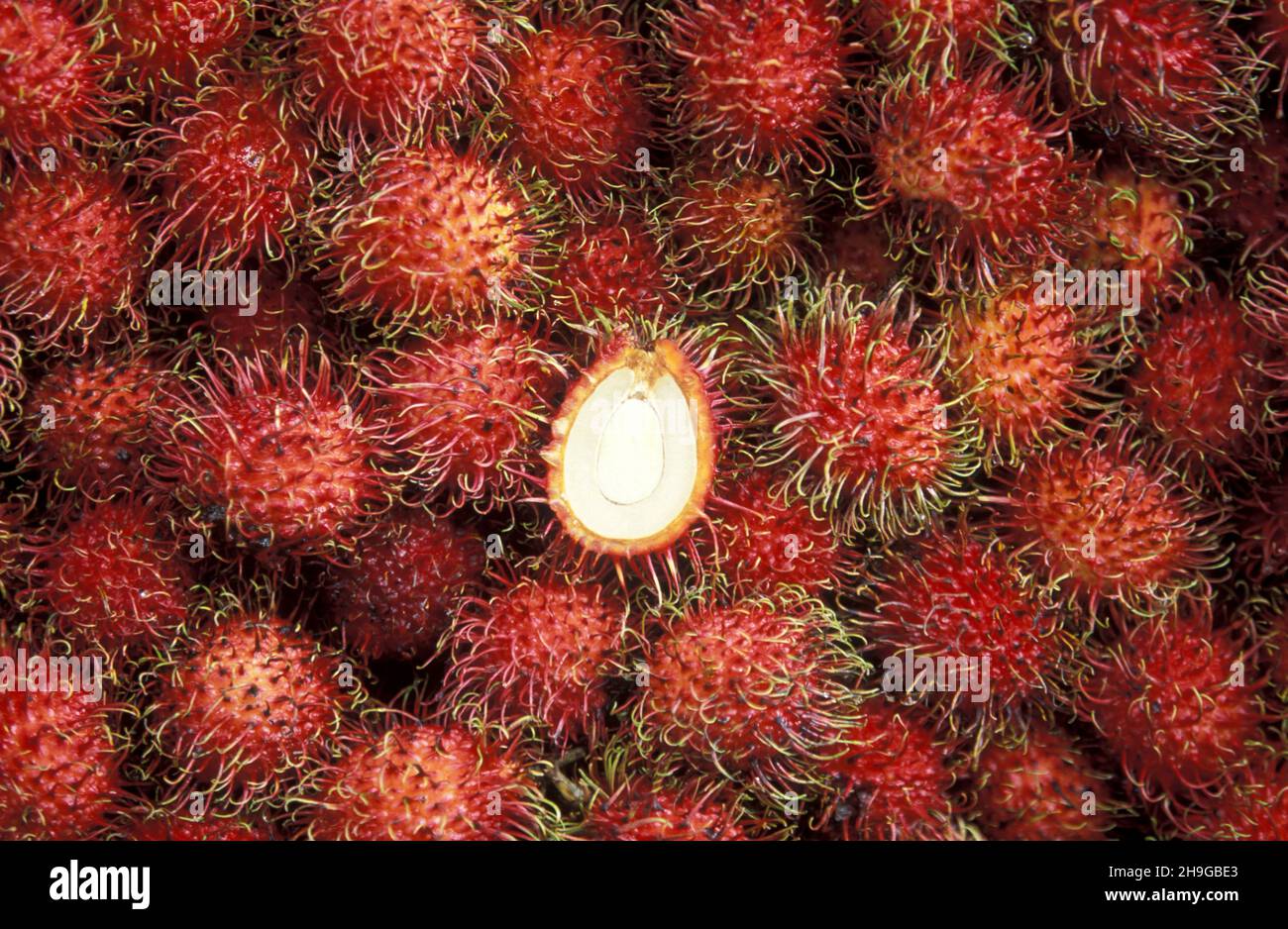 Tropical Rambutan fruits at a market in the city of Kuala Lumpur in ...