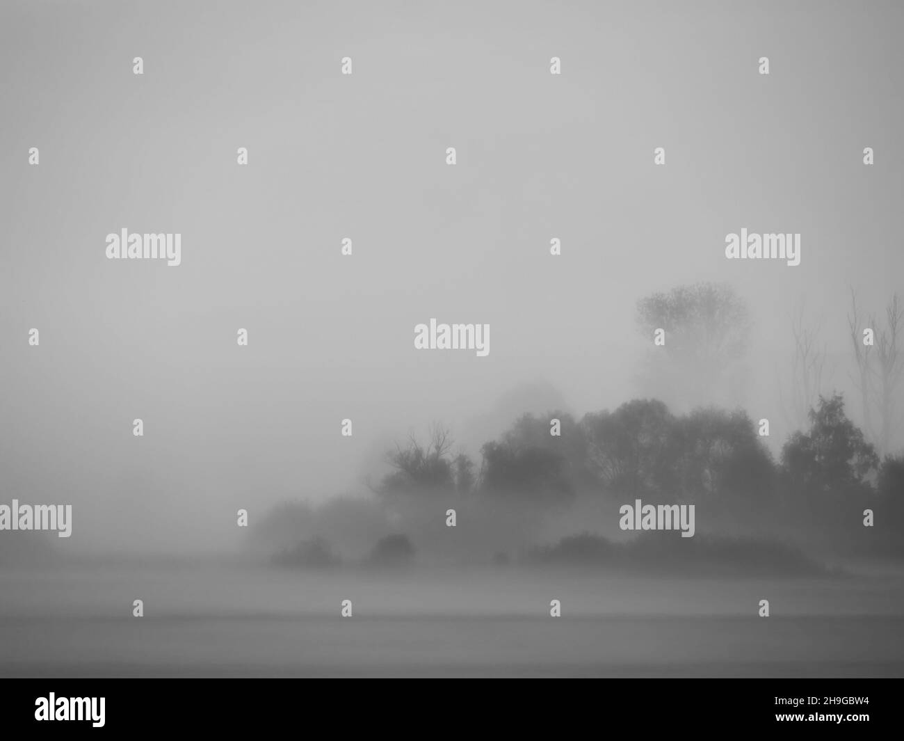 Early Morning Fog In Ampermoos, Amper Fen, River Valley Fen Near Lake ...