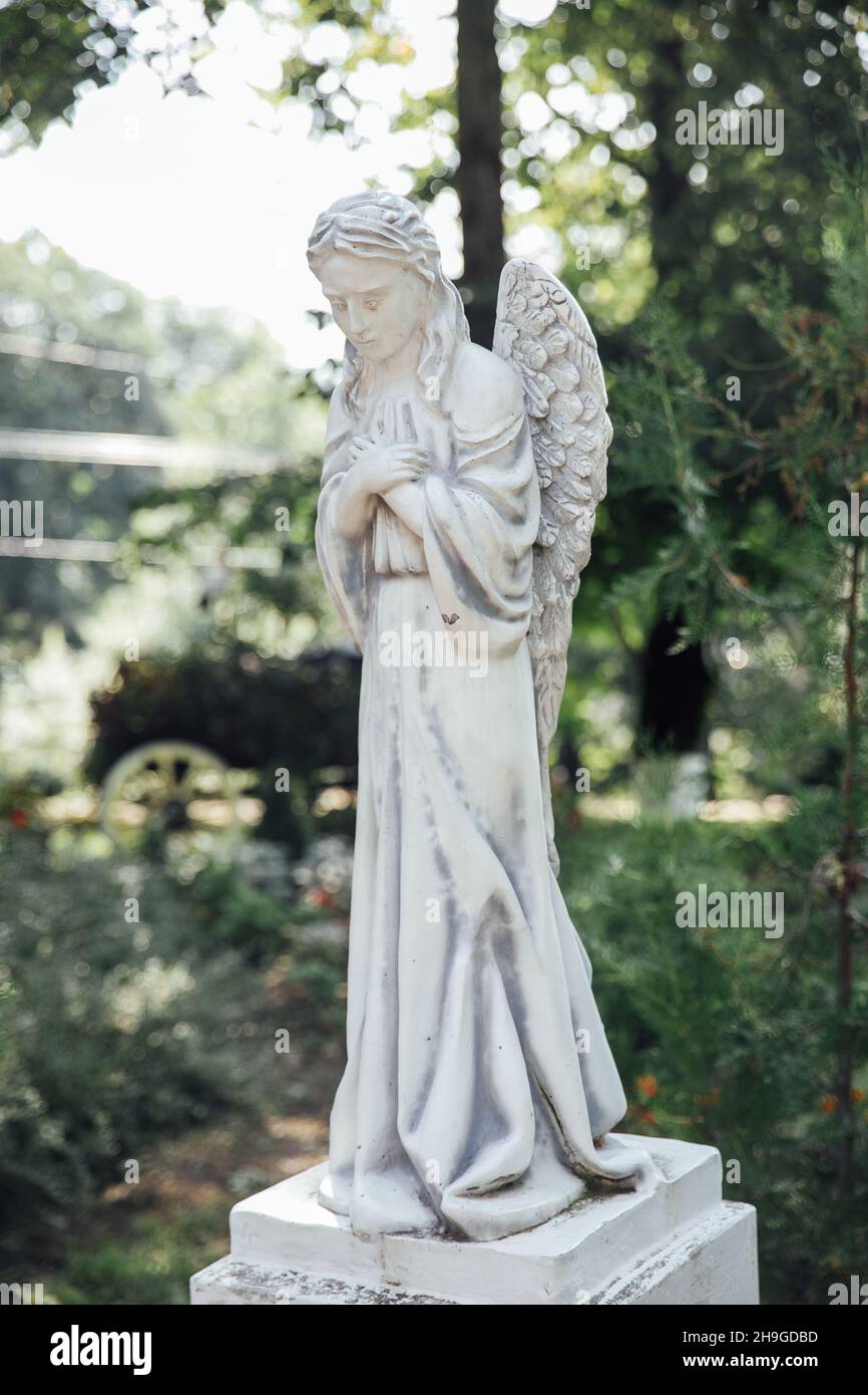 statue of guardian angel in a green forest Stock Photo - Alamy