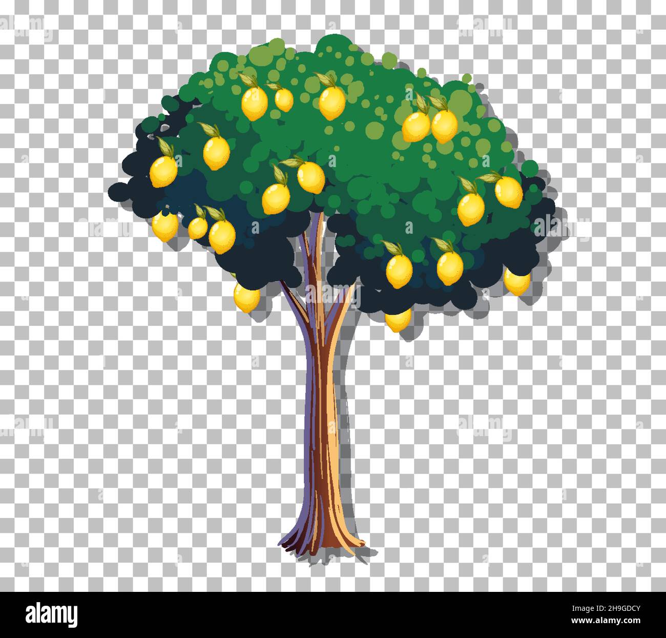 Lemon tree on transparent background illustration Stock Vector Image ...