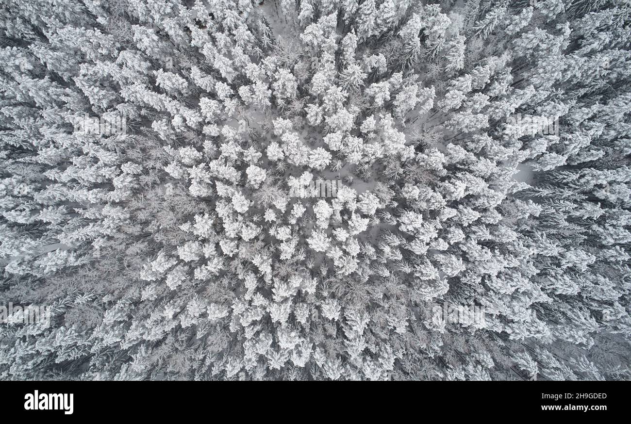 Top view deep hi-res stock photography and images - Alamy