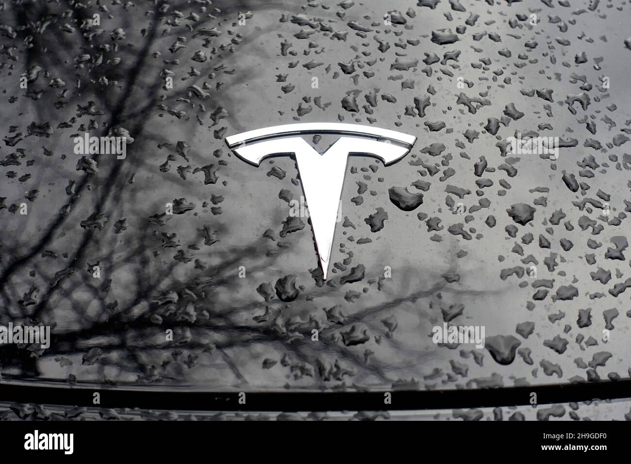 Logo of Tesla, Berlin Stock Photo - Alamy
