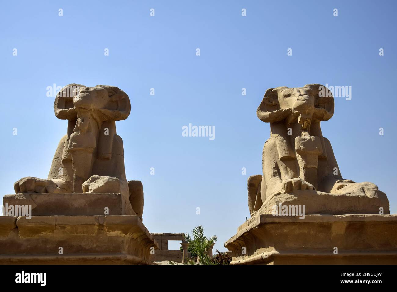 Two sheep-headed sphinxes of Small Alley in front of Karnak Temple ...