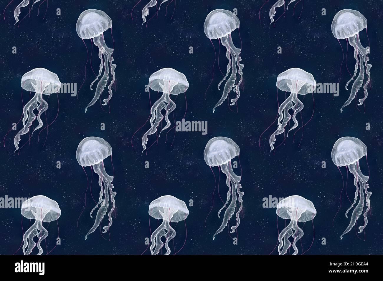 Jellyfish Photography Tumblr