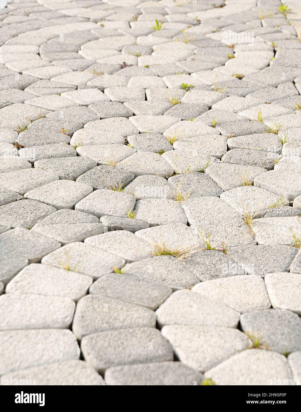 Circle Pattern Stone Block Paving High Resolution Stock Photography and ...