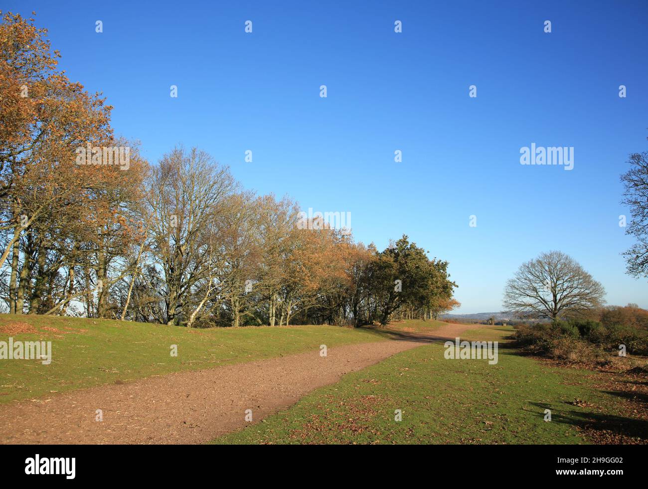 Public path on Kinver edge, Staffordshire, England, UK Stock Photo - Alamy