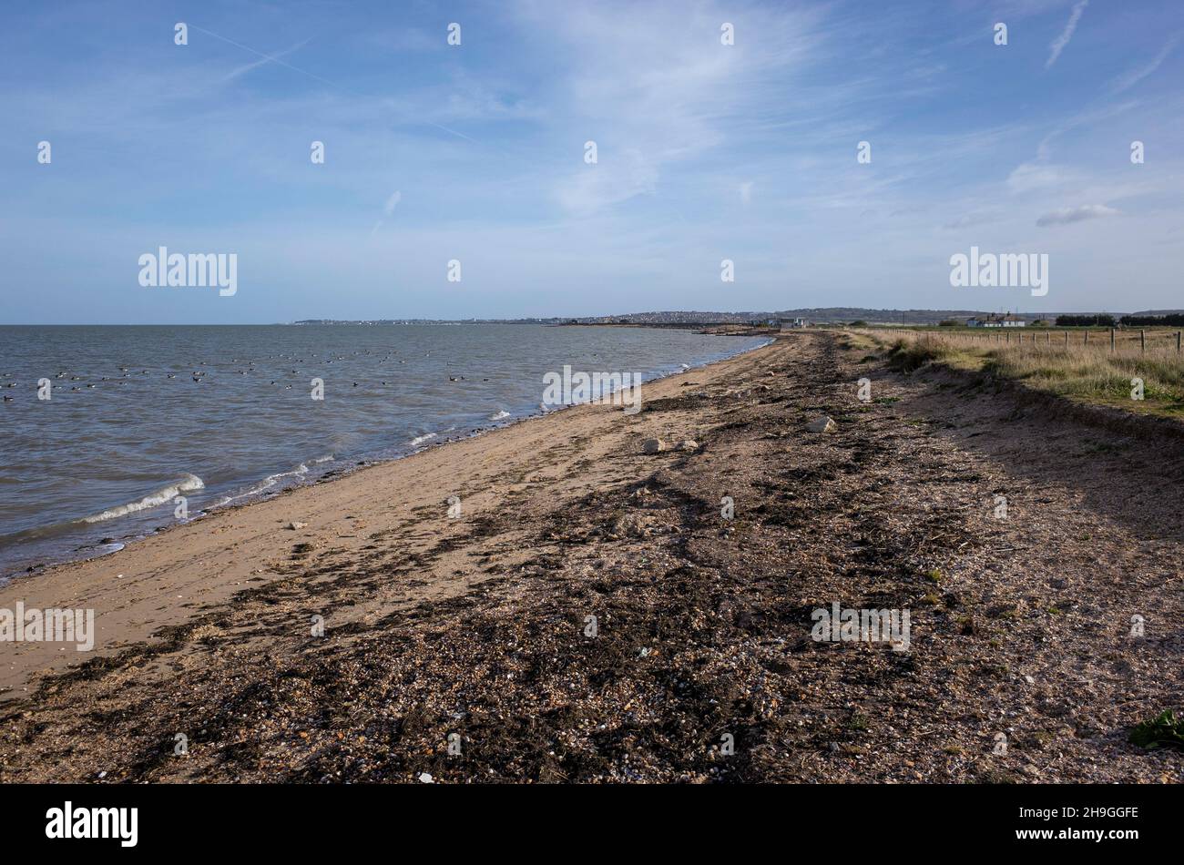 Beach and coastal path of the Saxon Shore Way near Seasalter in Kent UK ...