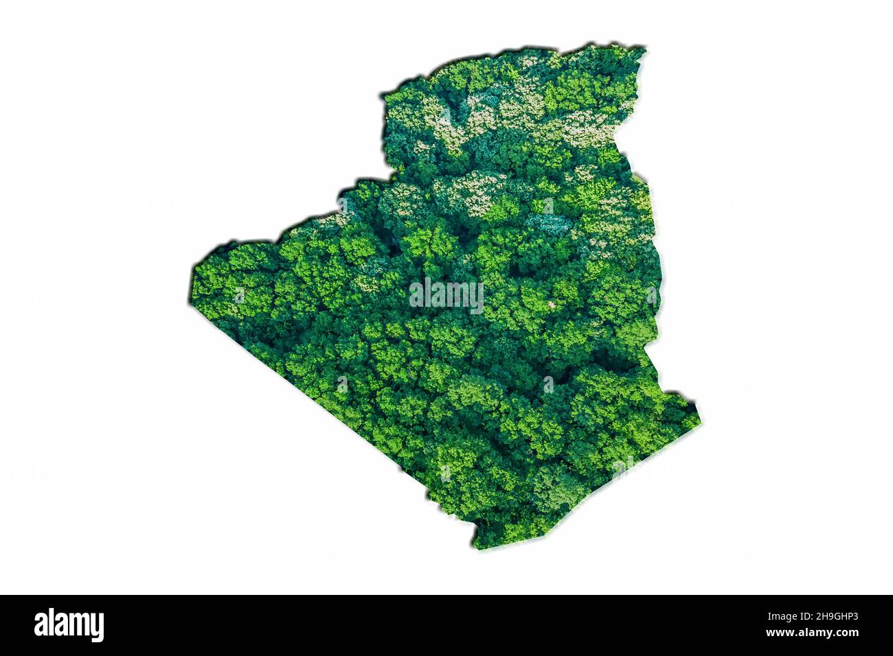 Green Forest Map of Algeria, on white background Stock Photo - Alamy