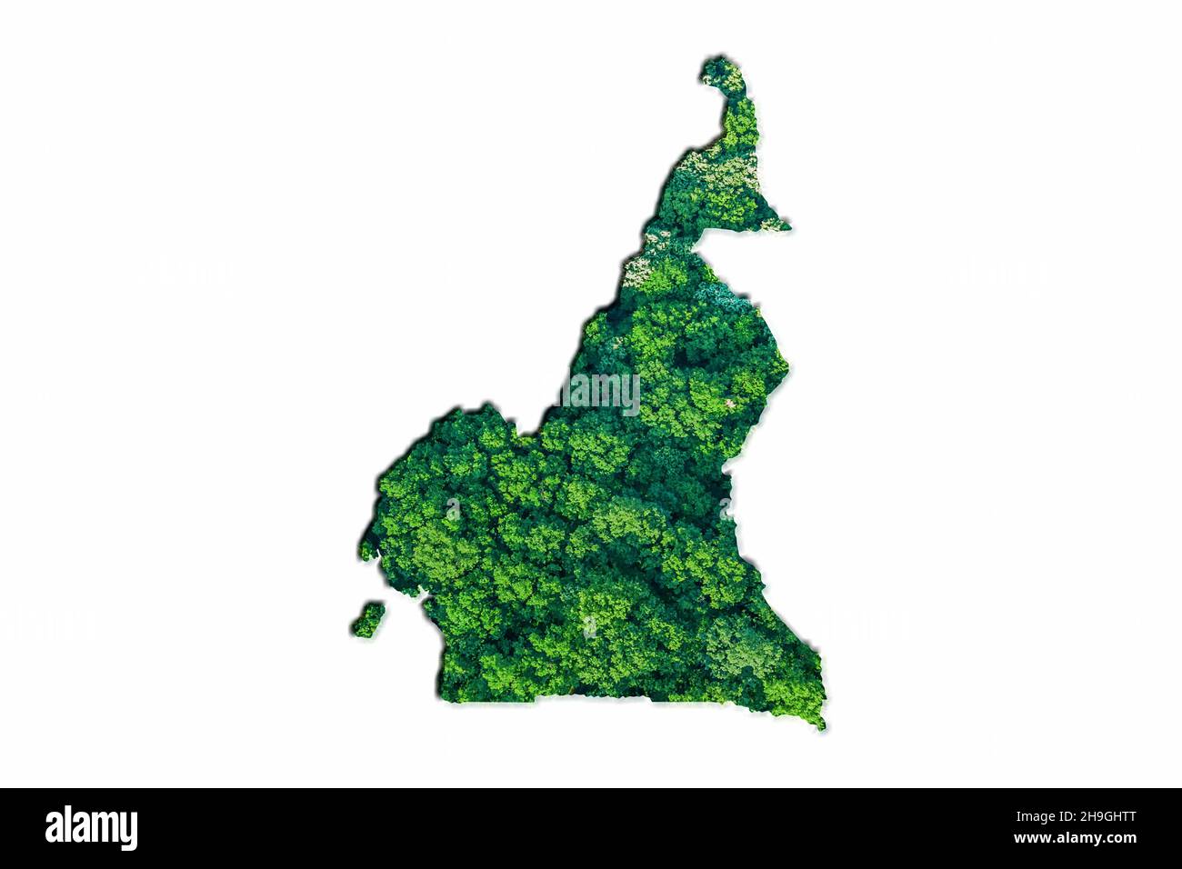 Green Forest Map of Cameroon, on white background Stock Photo - Alamy
