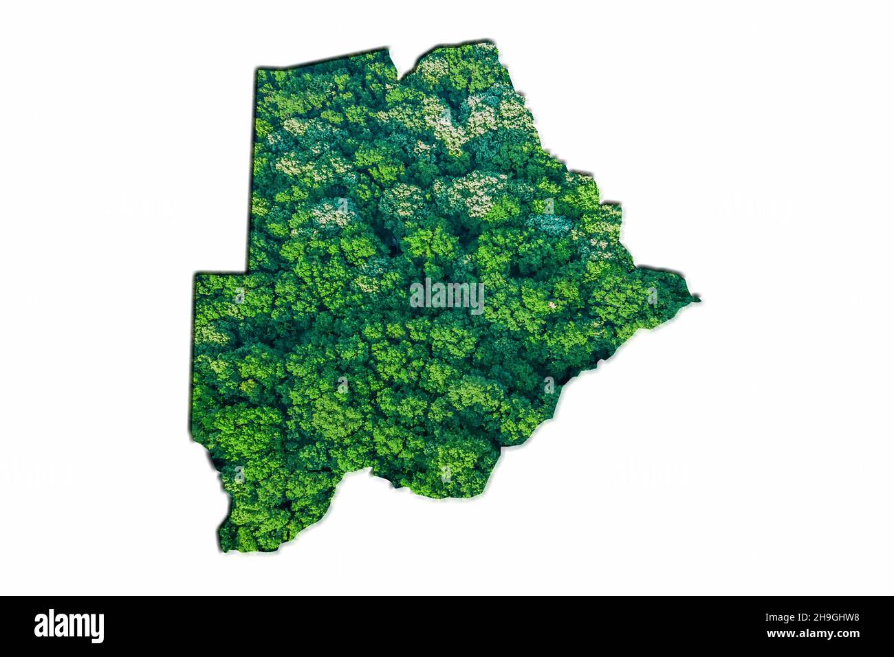 Green Forest Map of Botswana, on white background Stock Photo - Alamy