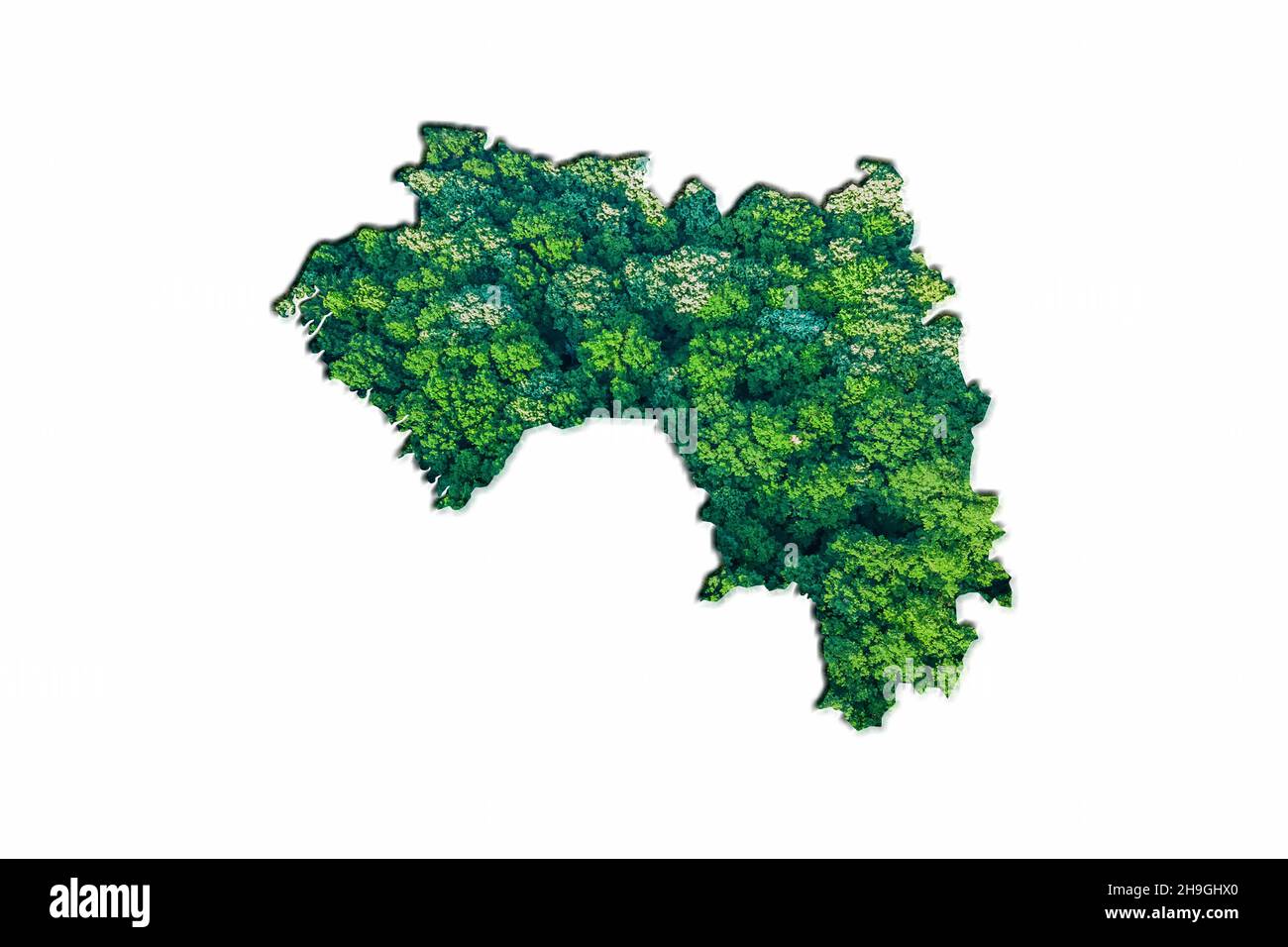 Green Forest Map of Guinea, on white background Stock Photo - Alamy