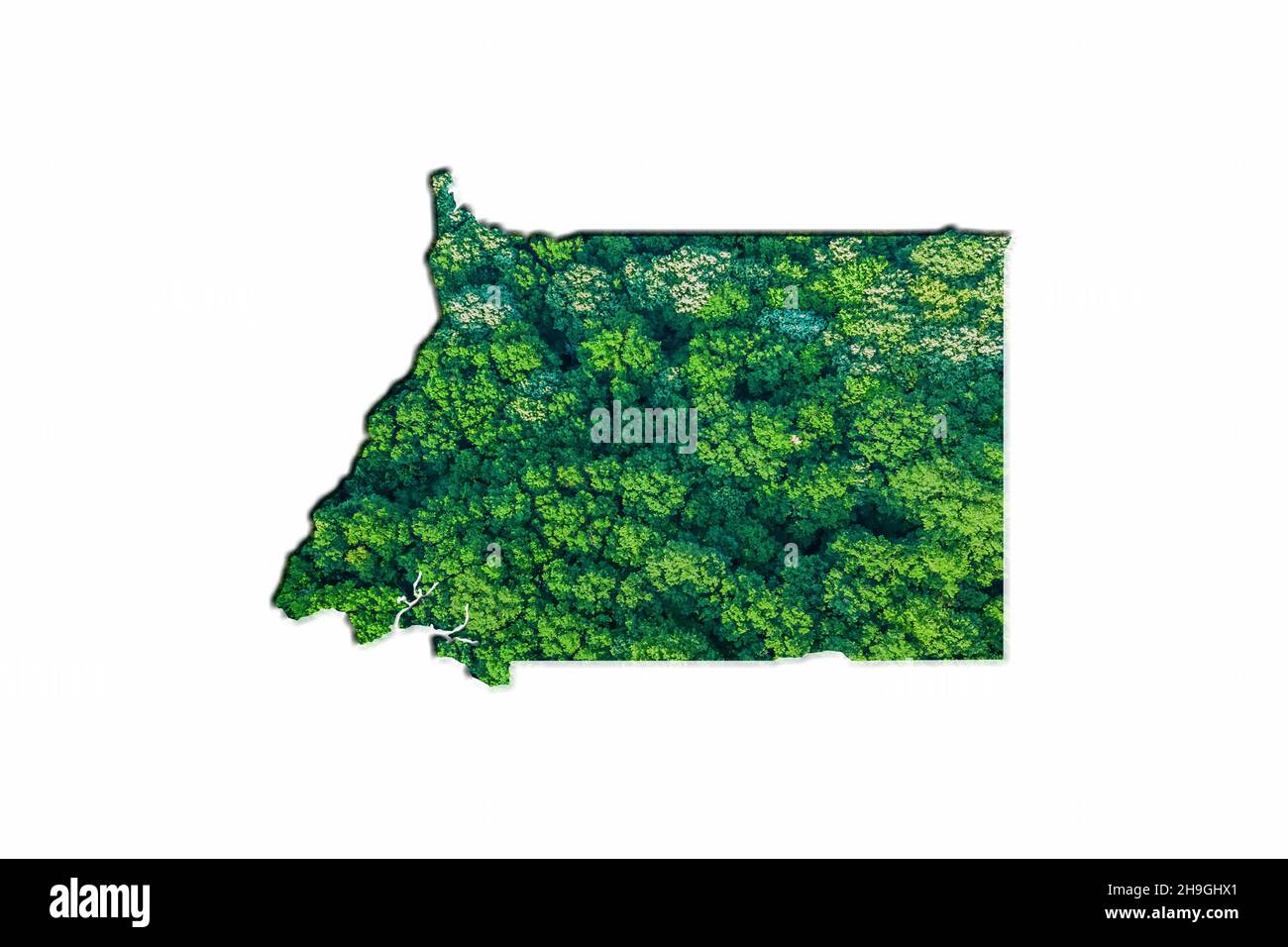 Green Forest Map of Equatorial Guinea, on white background Stock Photo ...