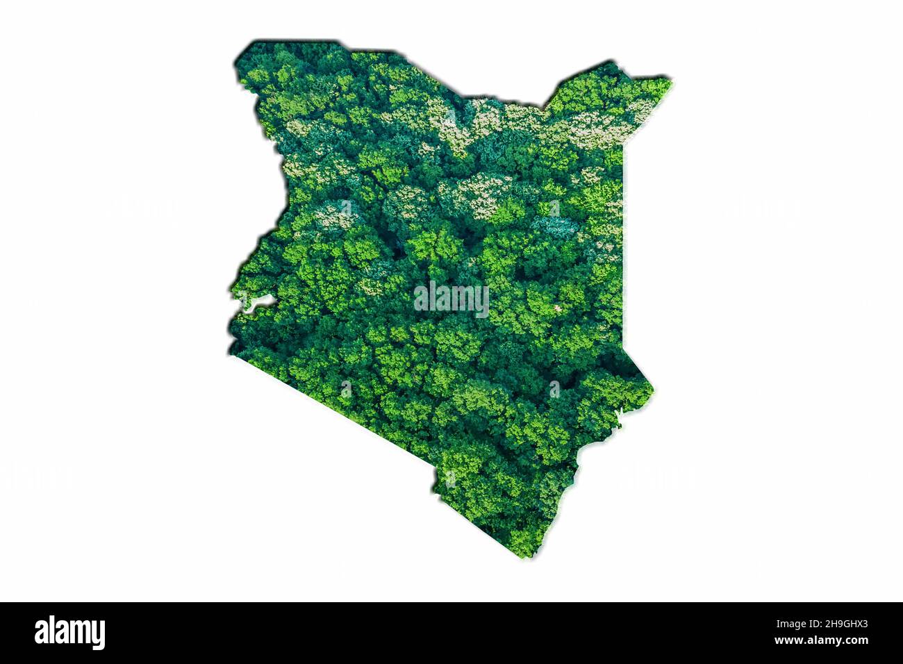 Green Forest Map of Kenya, on white background Stock Photo - Alamy