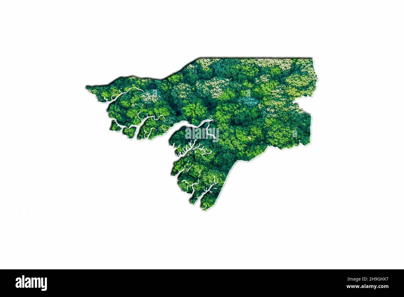 Green Forest Map of Guinea Bissau, on white background Stock Photo - Alamy