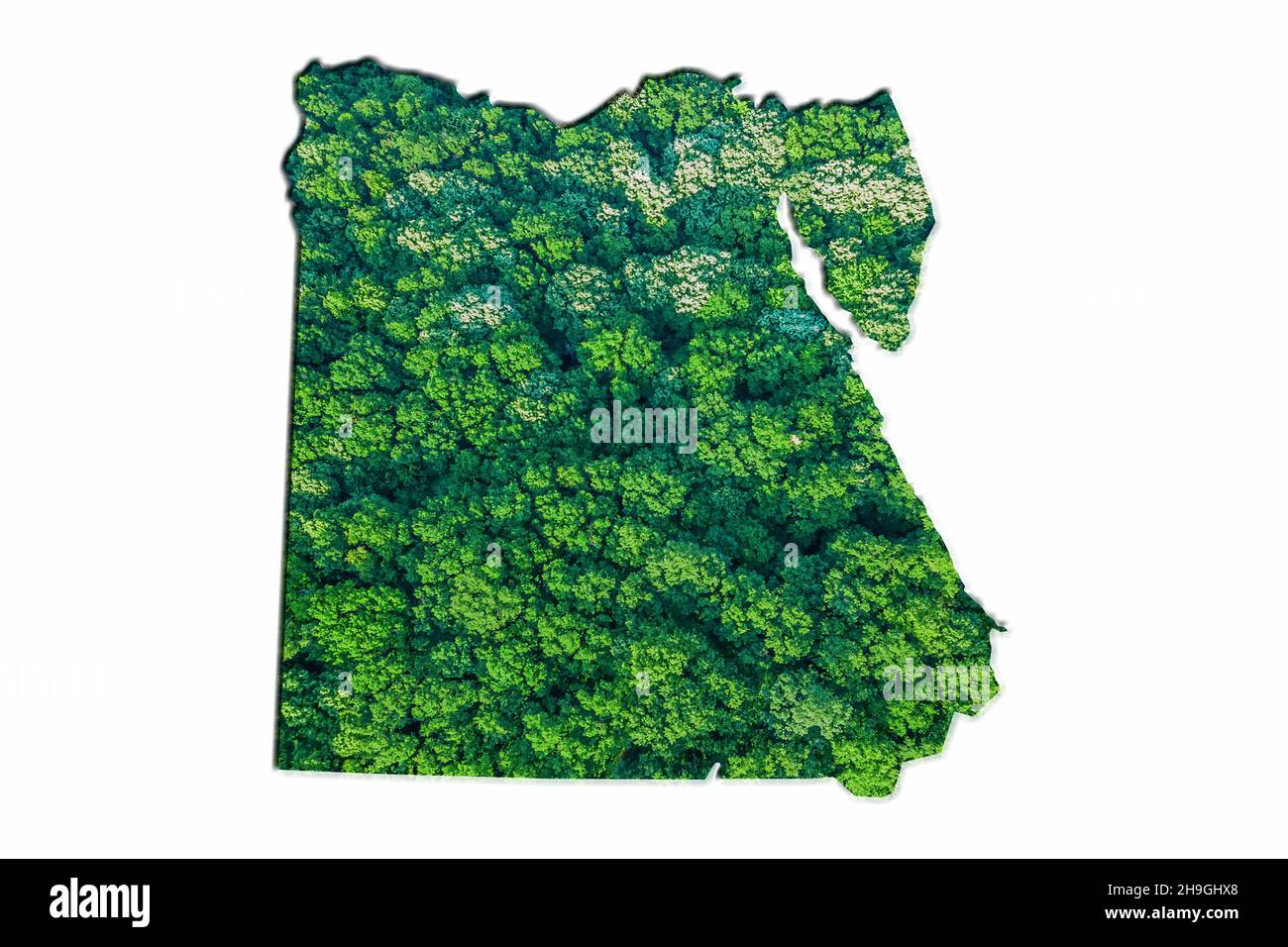 Green Forest Map of Egypt, on white background Stock Photo - Alamy