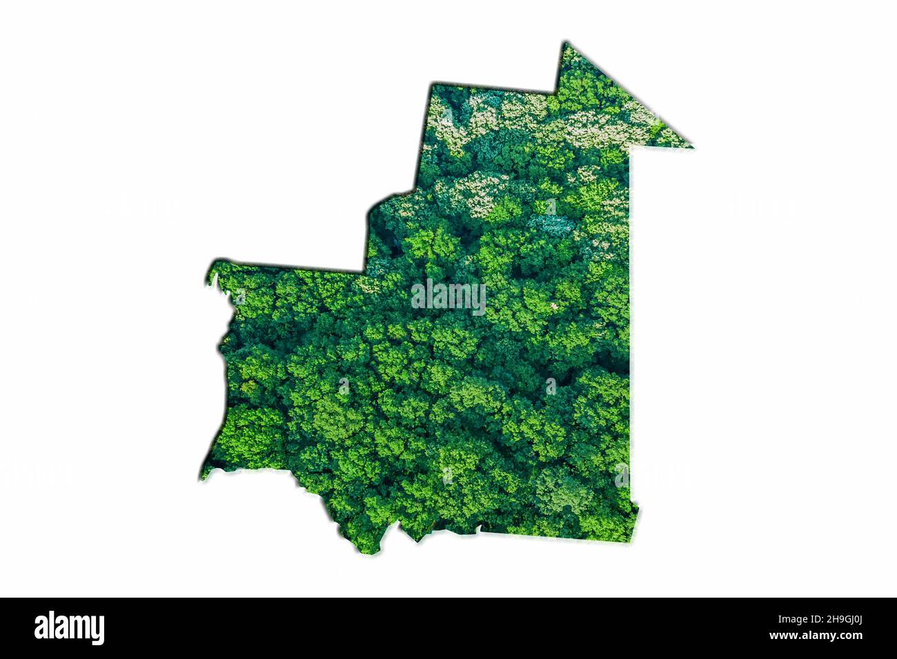 Green Forest Map of Mauritania, on white background Stock Photo - Alamy