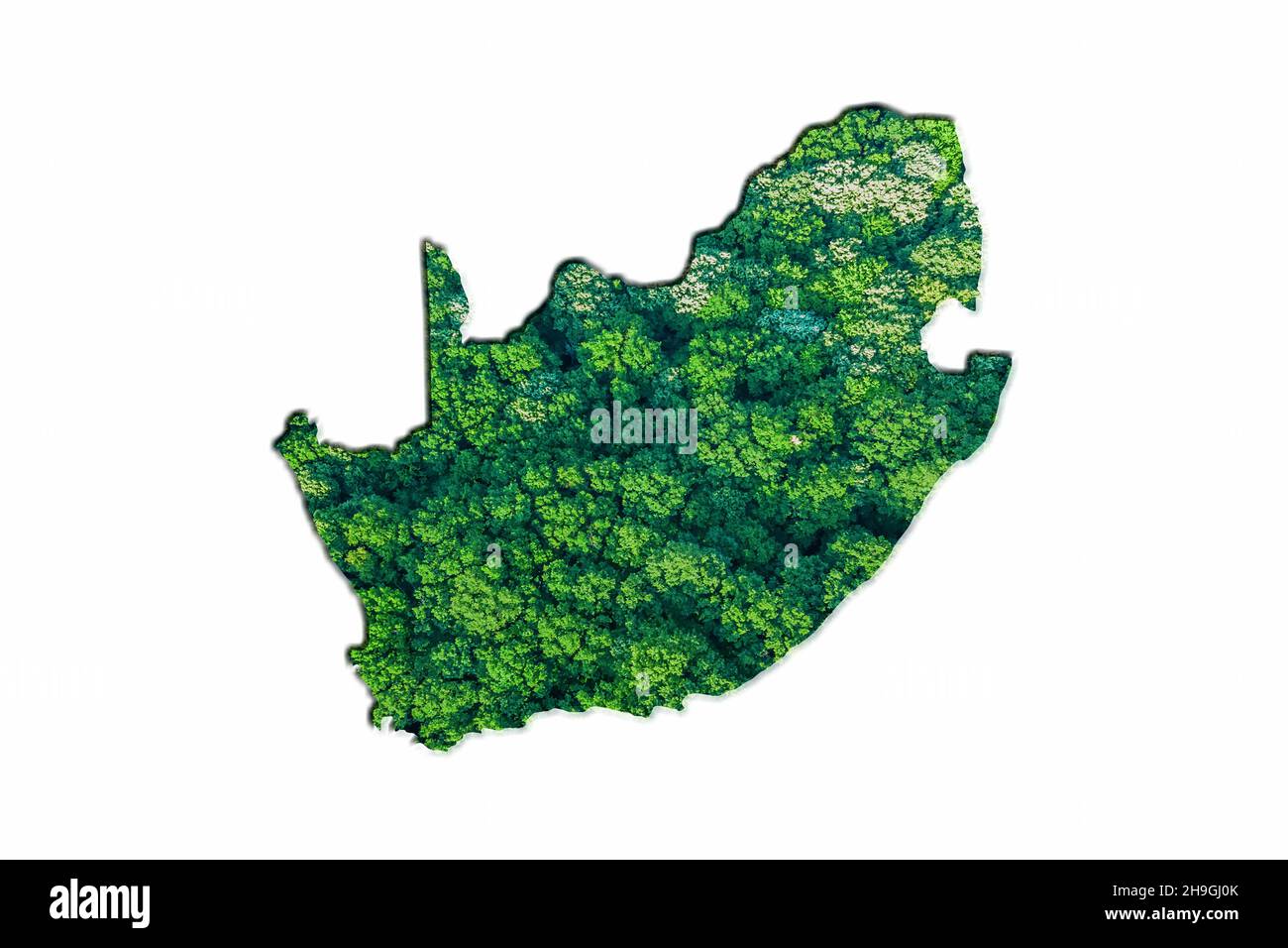 Green Forest Map of South Africa, on white background Stock Photo - Alamy