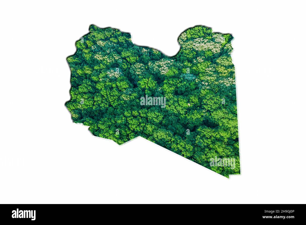 Green Forest Map of Libya, on white background Stock Photo - Alamy