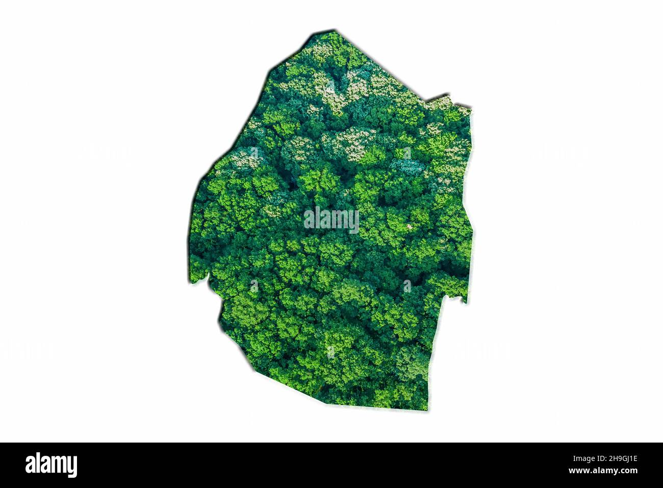 Green Forest Map of Swaziland, on white background Stock Photo - Alamy