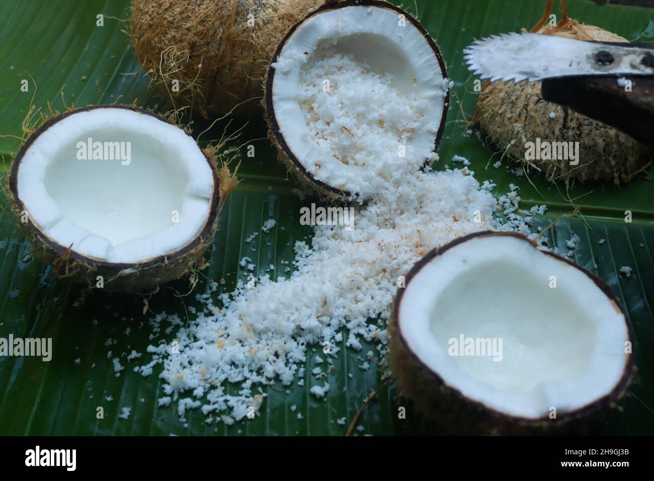 tender coconut and coconut grated stock images coconut photo Stock ...