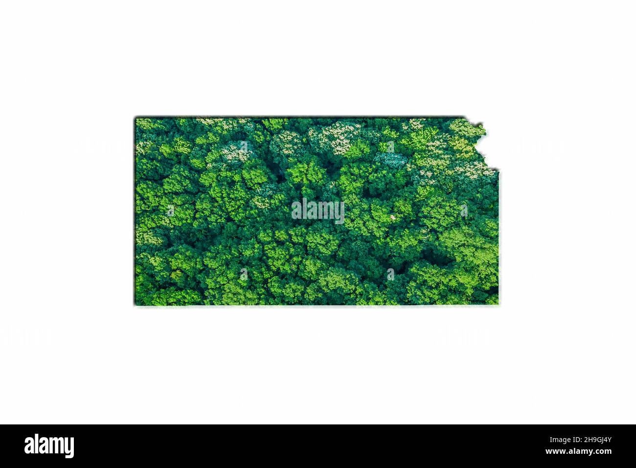 Green Forest Map of Kansas, on white background Stock Photo - Alamy
