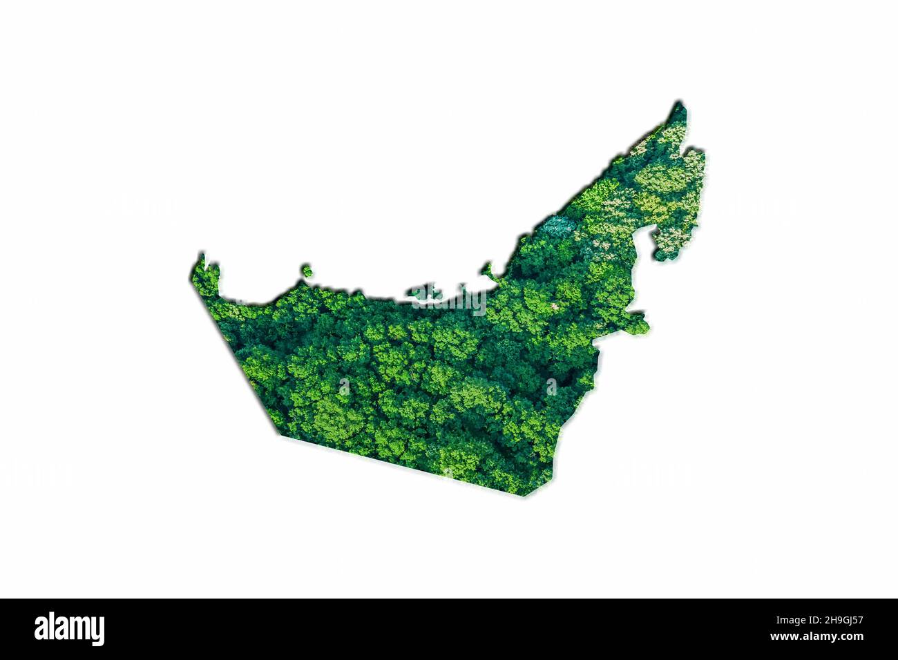 Green Forest Map of United Arab Emirates, on white background Stock ...
