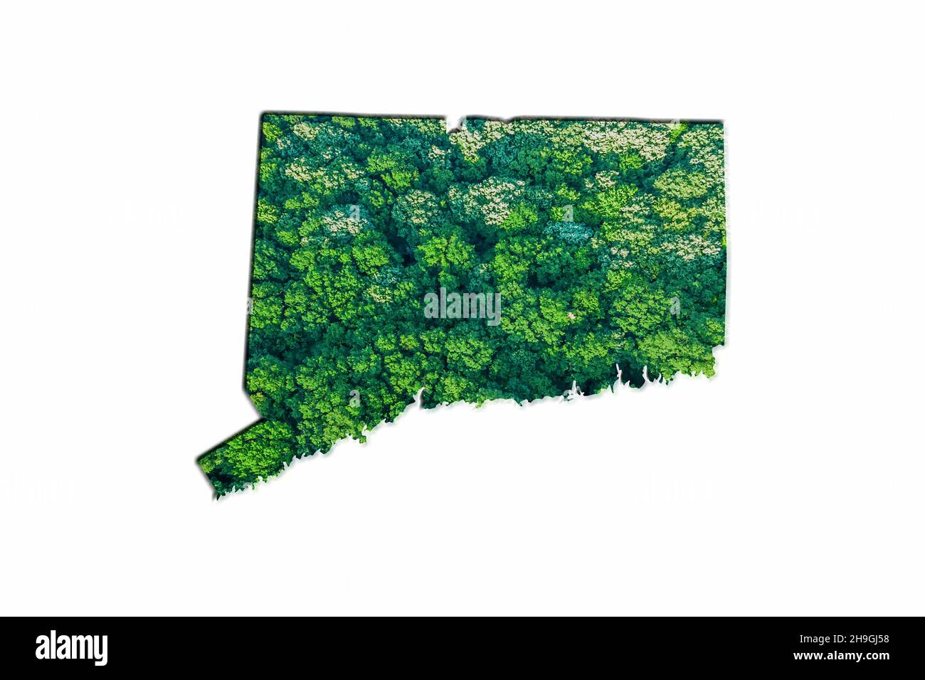 Green Forest Map of Connecticut, on white background Stock Photo - Alamy