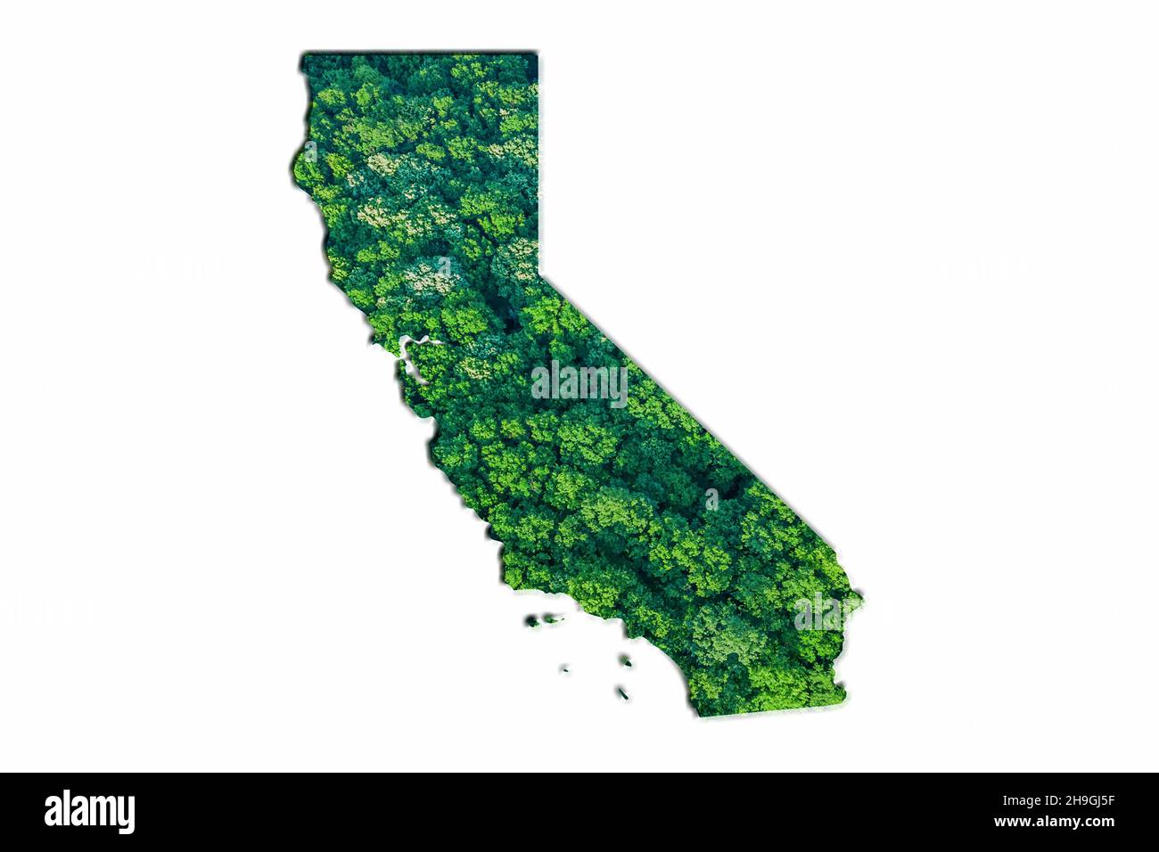 Forest Map California Mwpa