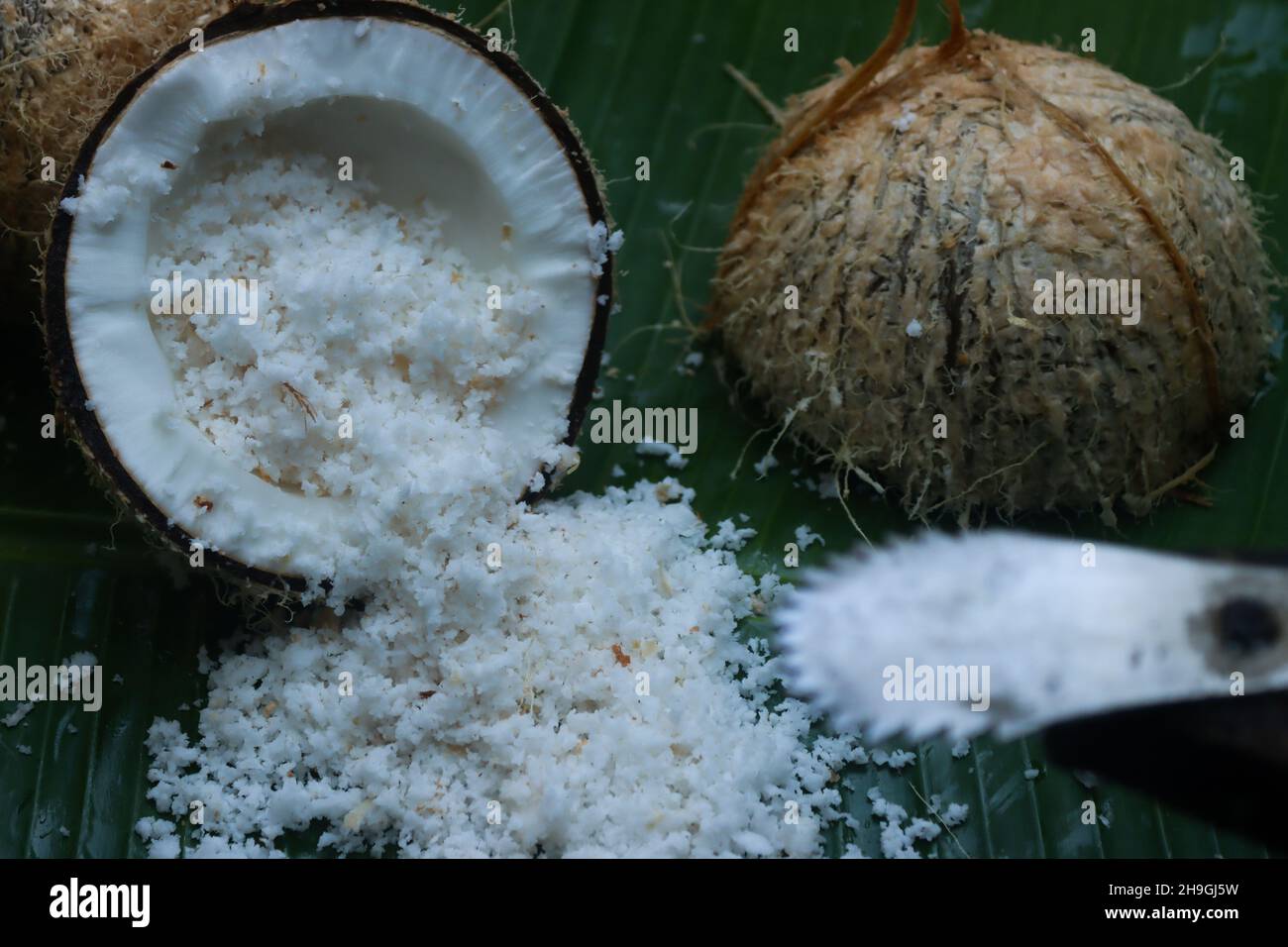 Indian tender coconut hi-res stock photography and images - Alamy